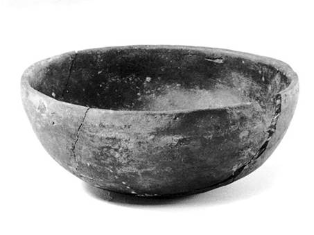 Plantation Archaeology & History ANT 313 Fall 2012 Sample Presentation ...